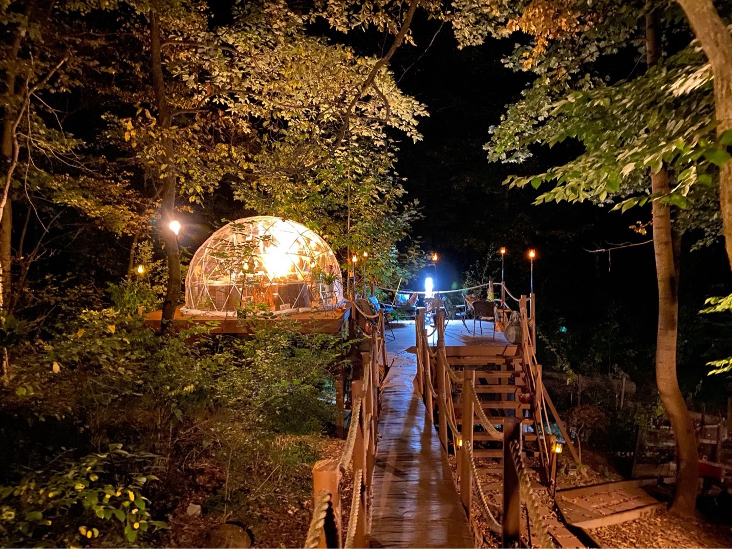 Dr. Zee & Carolyn’s Enchanting Gazebo Treehouse - Forever Redwood