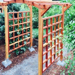 Arched Garden Arbor | Forever Redwood