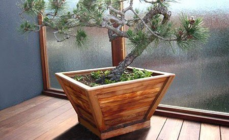 The Bonsai Planters, Built to Last Decades | Forever Redwood