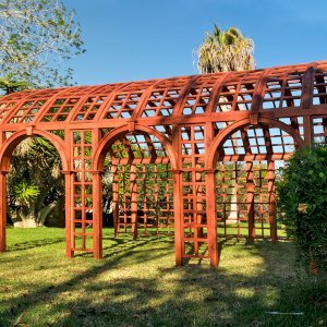 The Victorian Trellis: ForeverRedwood