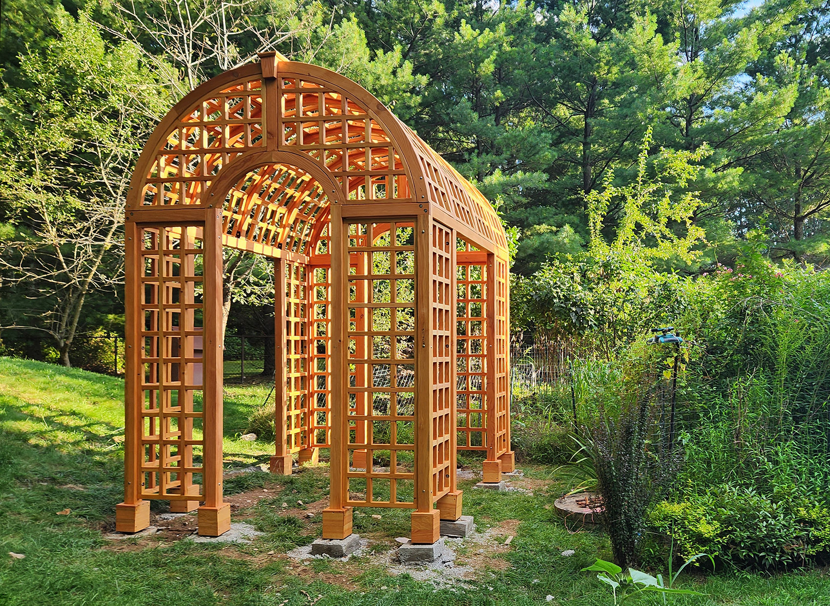 The Victorian Trellis: ForeverRedwood