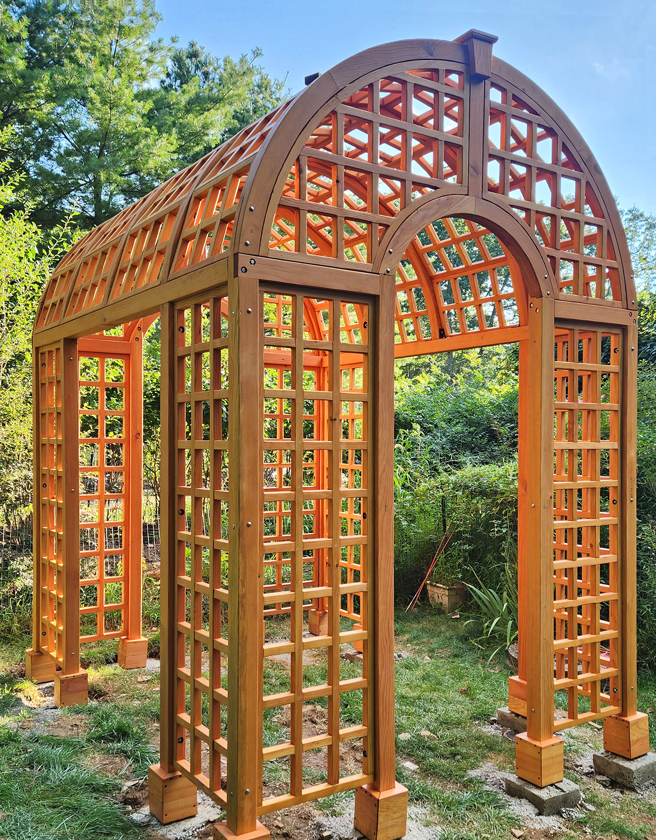 The Victorian Trellis: ForeverRedwood